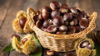 Les fruits oléagineux et leurs bienfaits sur la santé| Actinutrition