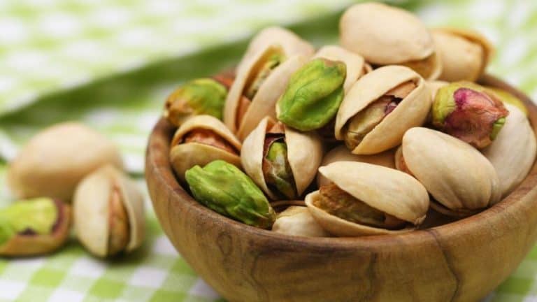 Les fruits oléagineux et leurs bienfaits sur la santé| Actinutrition